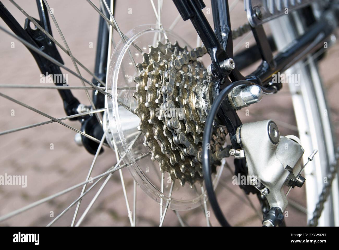 Rear wheel of a bicycle with gears Stock Photo - Alamy