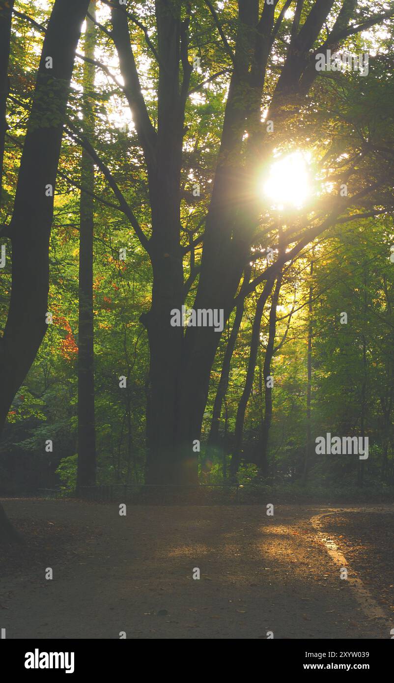 Bright morning lights hi-res stock photography and images - Alamy