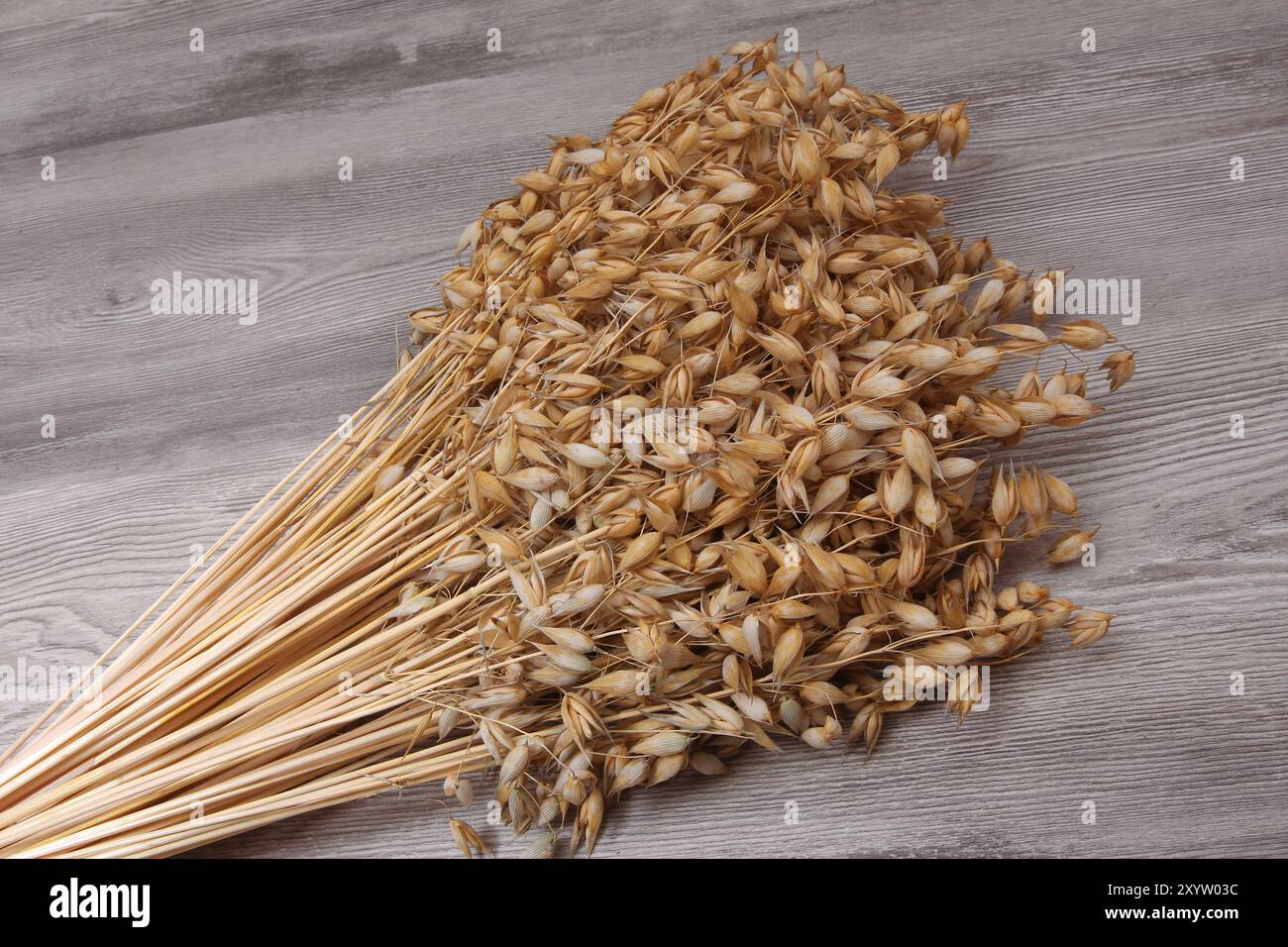 The oat sheaf hi-res stock photography and images - Alamy