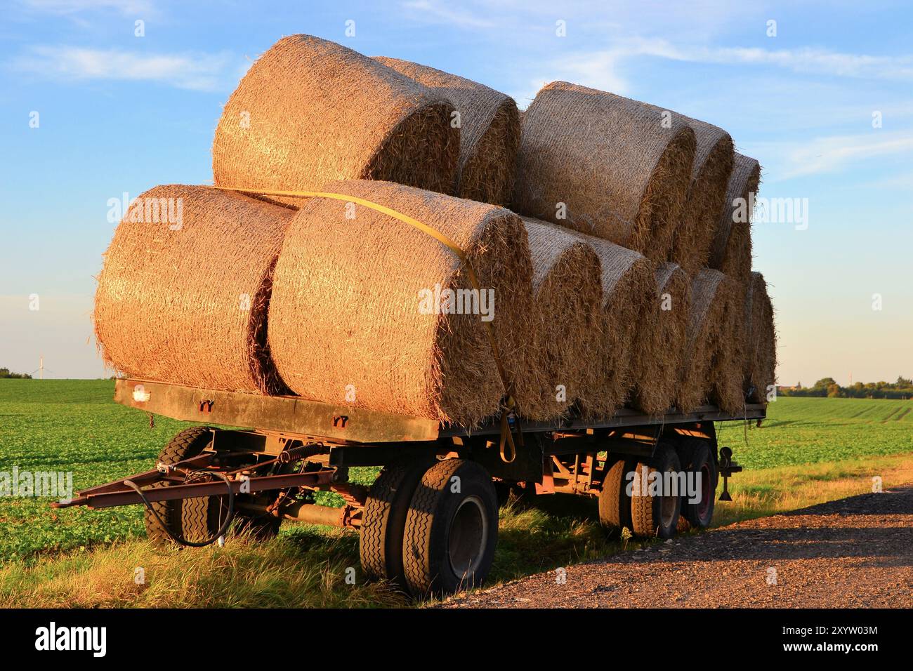 Bale straw on trailer in hi-res stock photography and images - Alamy
