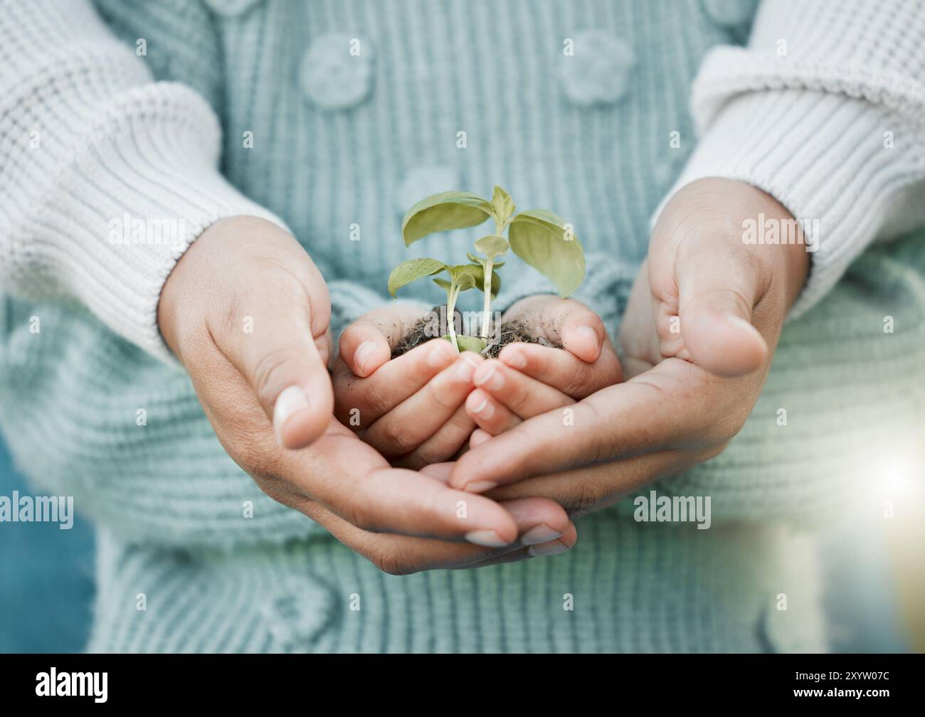 Kid, mother and hands with plant and soil for support, unity and ...