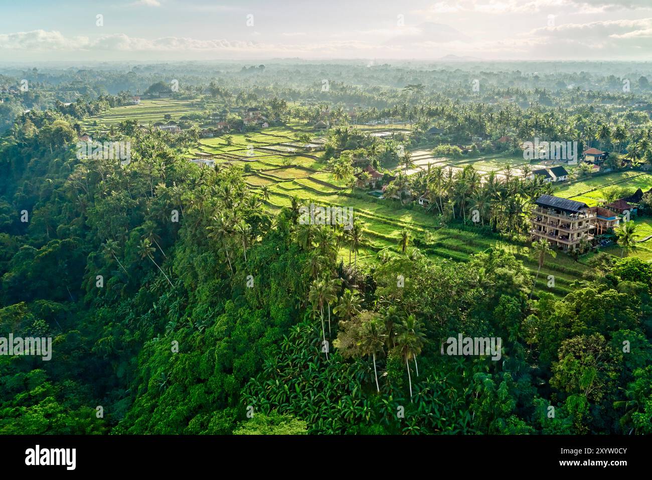 Aerial view of green rice fields in Ubud, Bali, Indonesia Stock Photo ...