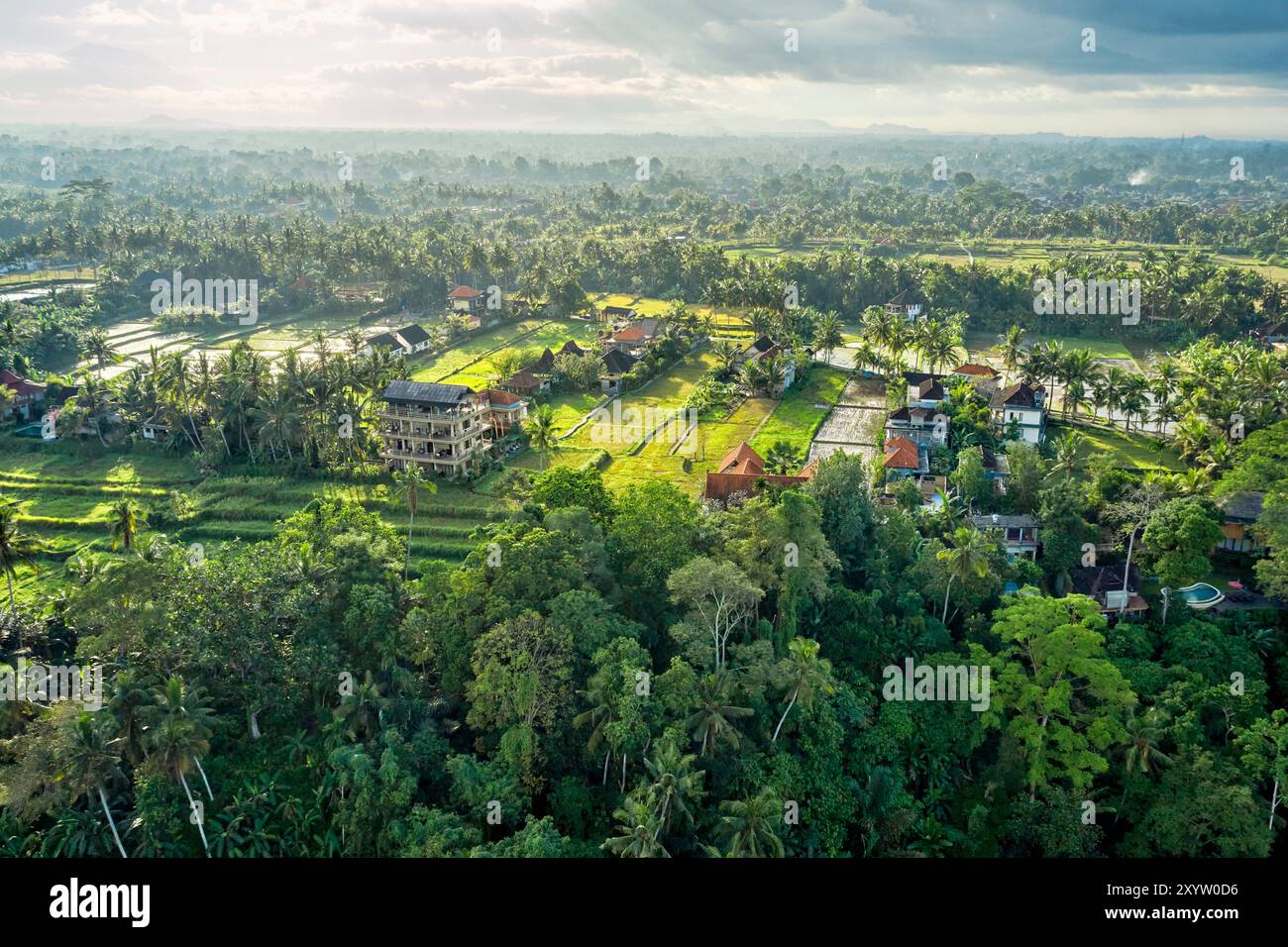 Aerial view of green rice fields and houses in Ubud, Bali, Indonesia ...
