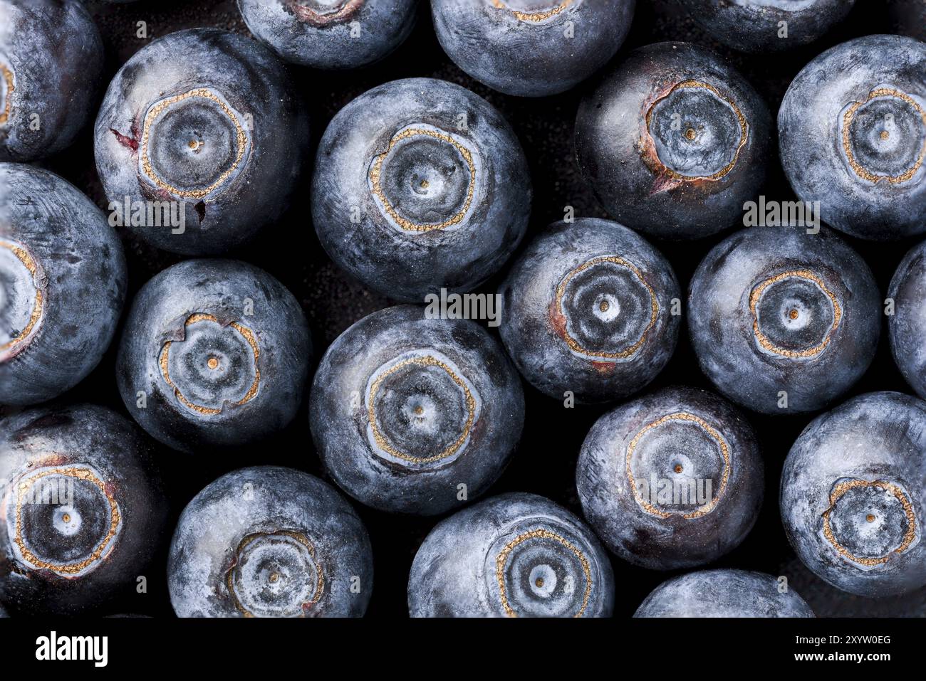 Blueberry?s macro closeup many berry?s black background Stock Photo - Alamy