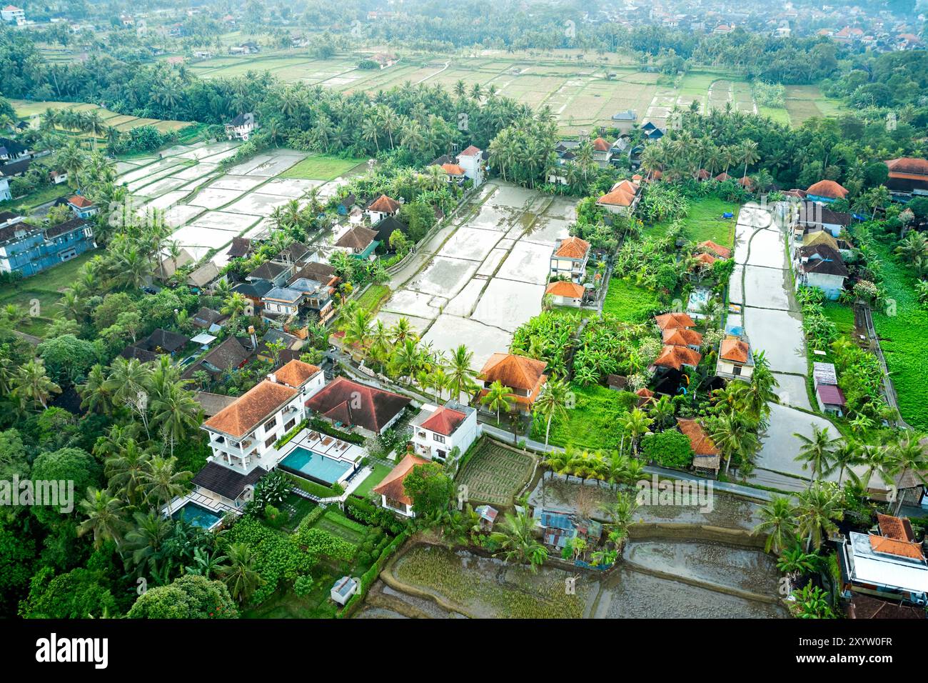 Aerial view of flooded rice fields and houses in Ubud, Bali, Indonesia ...