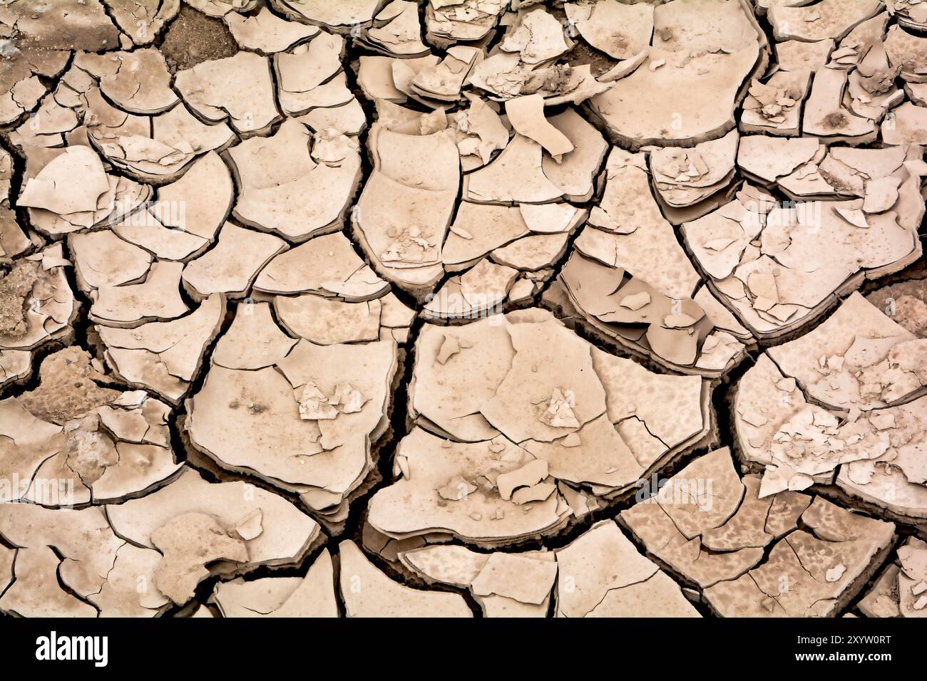 Dried out soil Stock Photo - Alamy