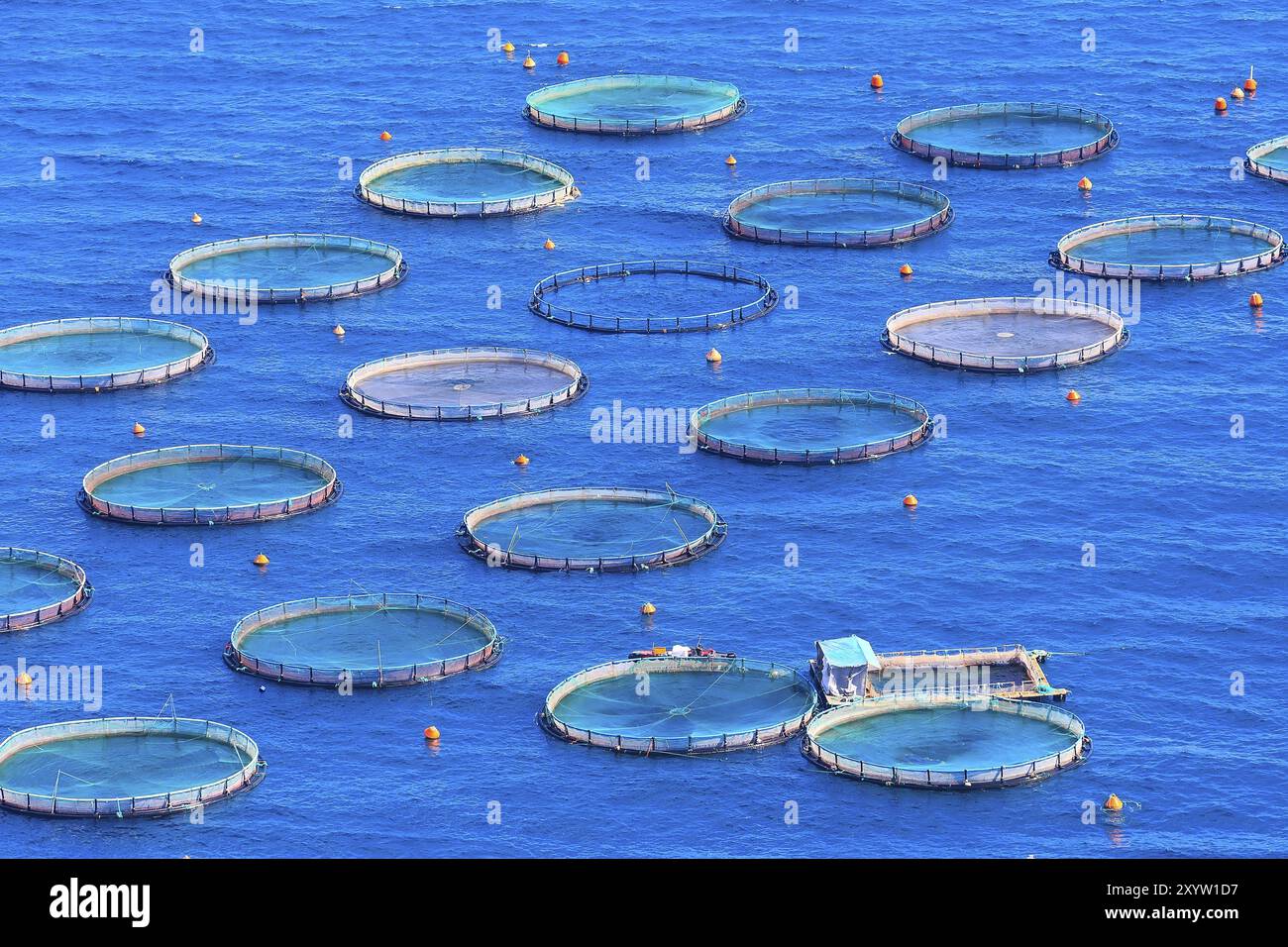 Fish sea farm with floating circle cages in Greece, aerial view Stock ...