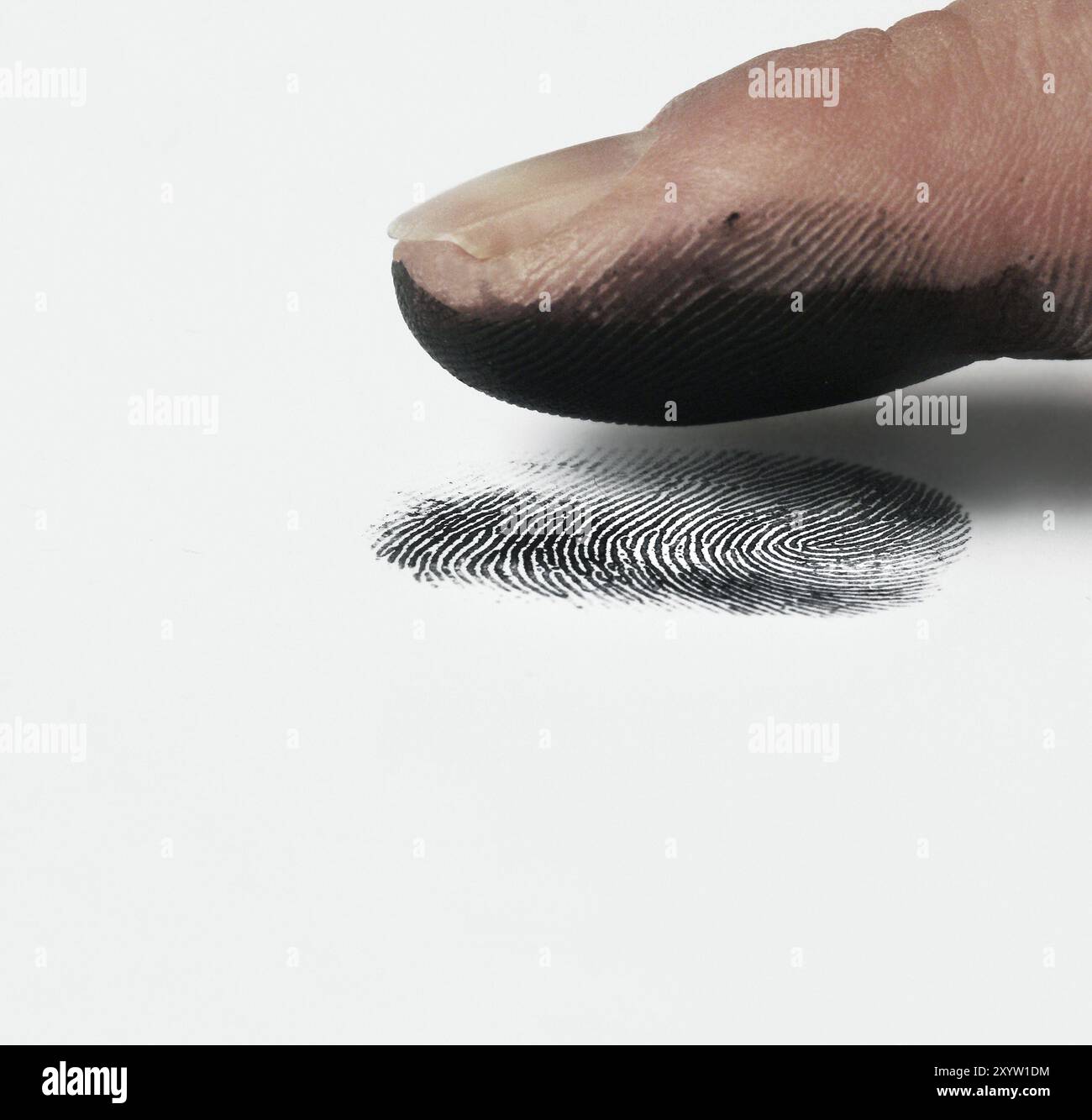 Fingerprint + finger Stock Photo - Alamy