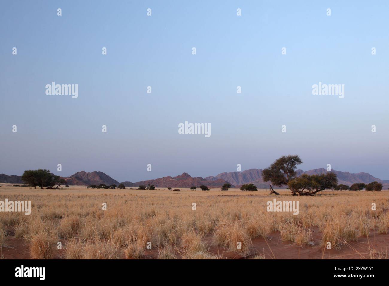 Landscape in Namibia, landscape in Namibia Stock Photo - Alamy