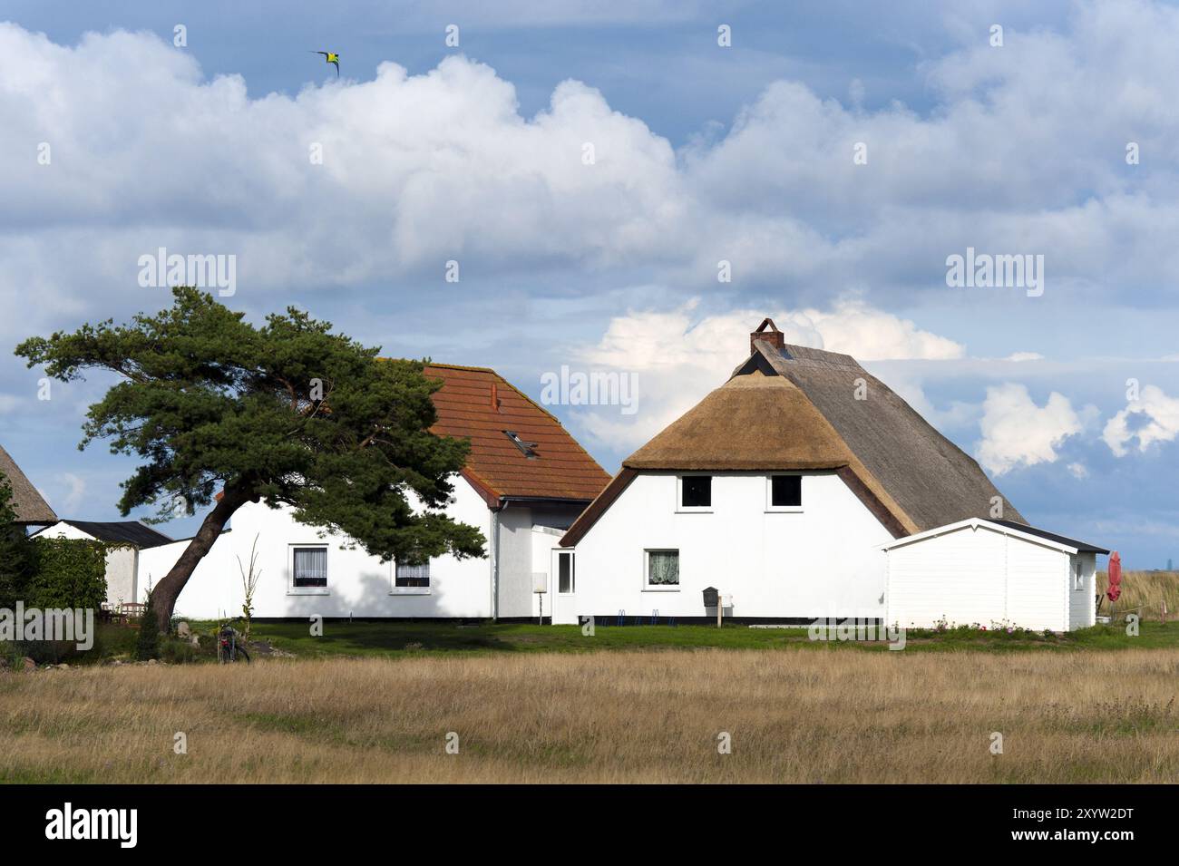 2 residential buildings on the island of Hiddensee Stock Photo - Alamy