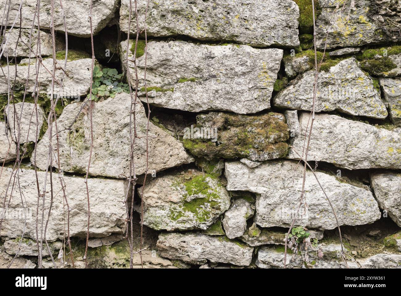 Textured background irregular natural stone wall is made of different ...