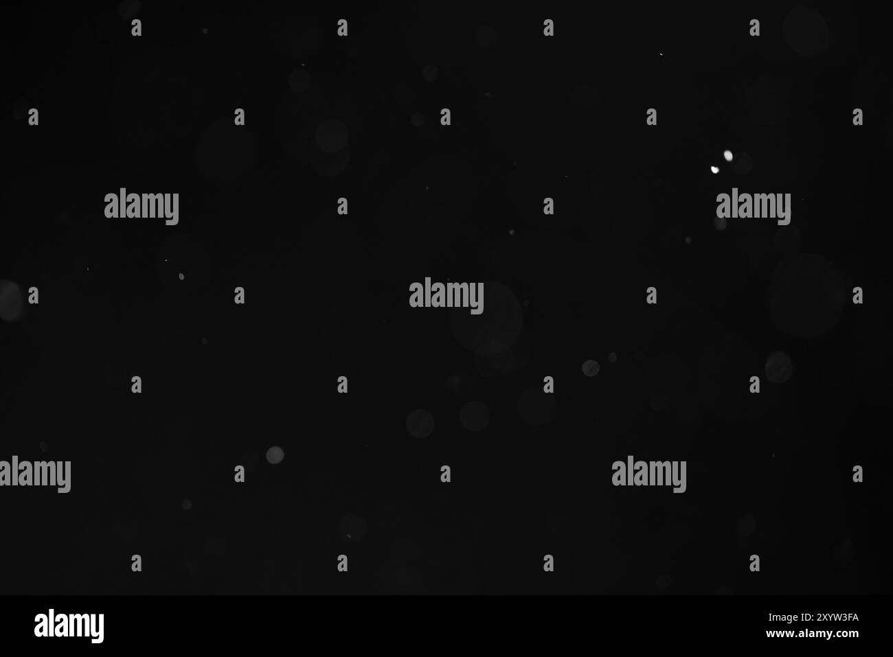 abstract dust particles over black background for overlay, effect Stock Photo - Alamy