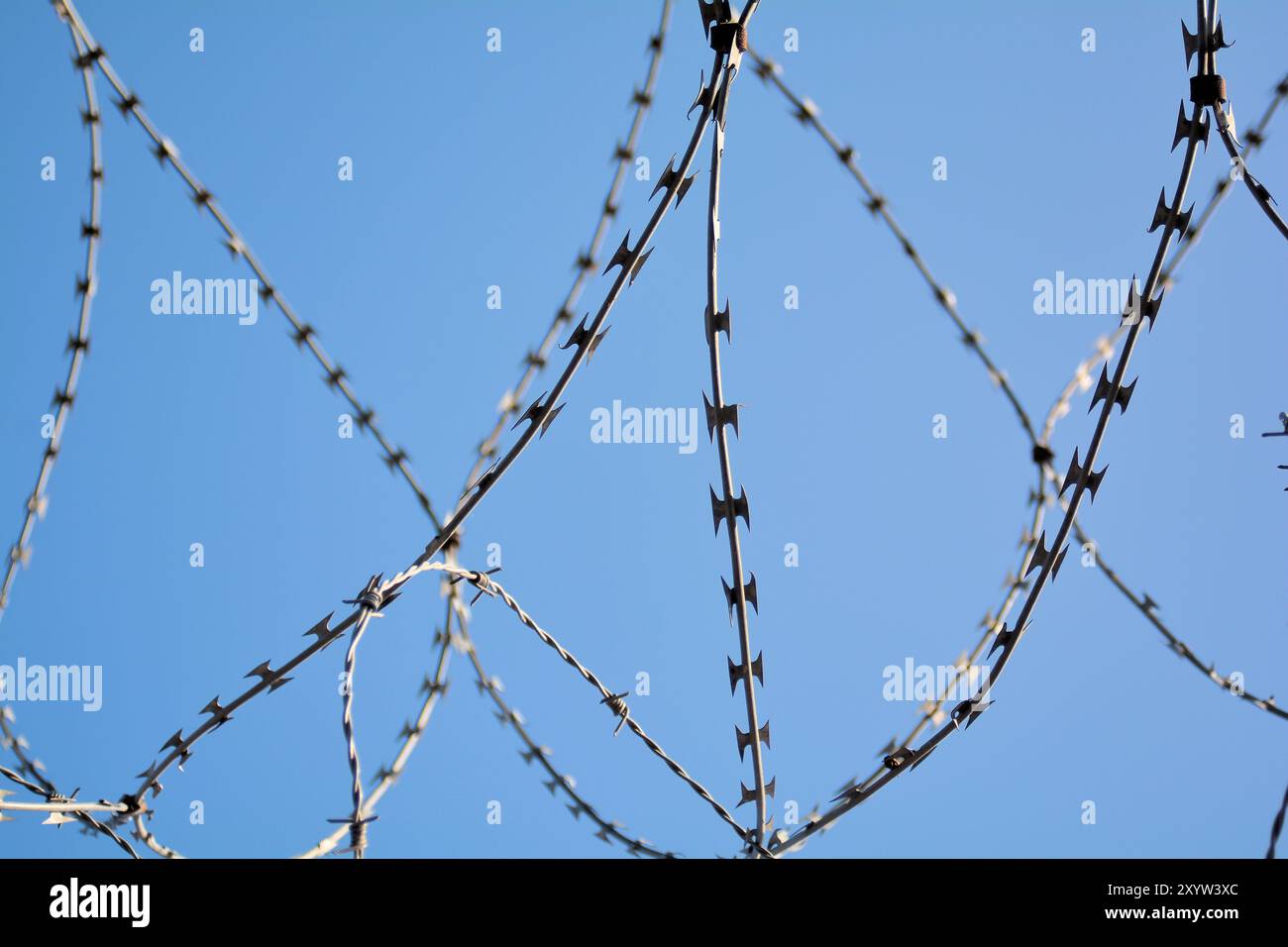 Barbed wire on a fence Stock Photo - Alamy