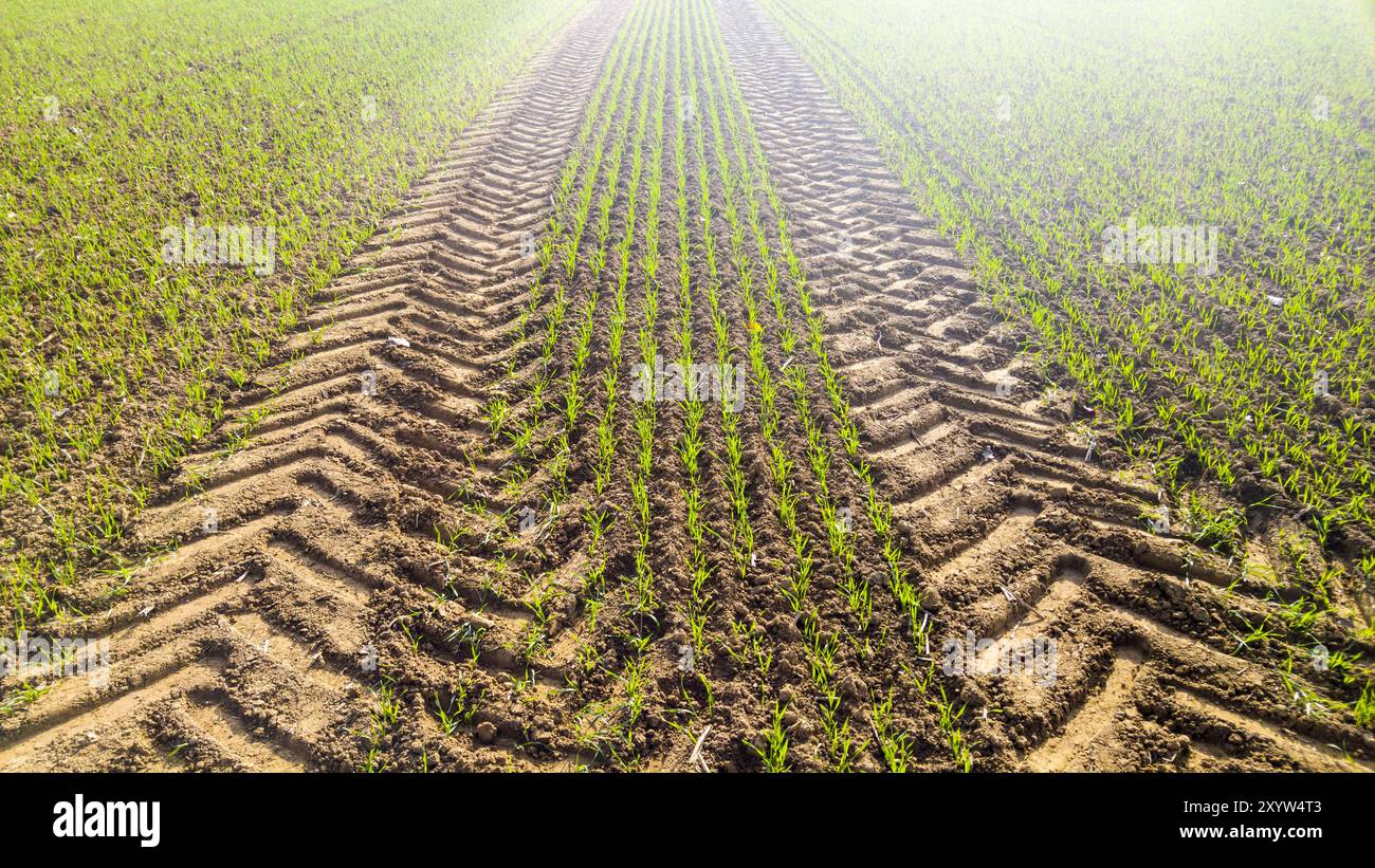 Car tracks in fields hi-res stock photography and images - Alamy