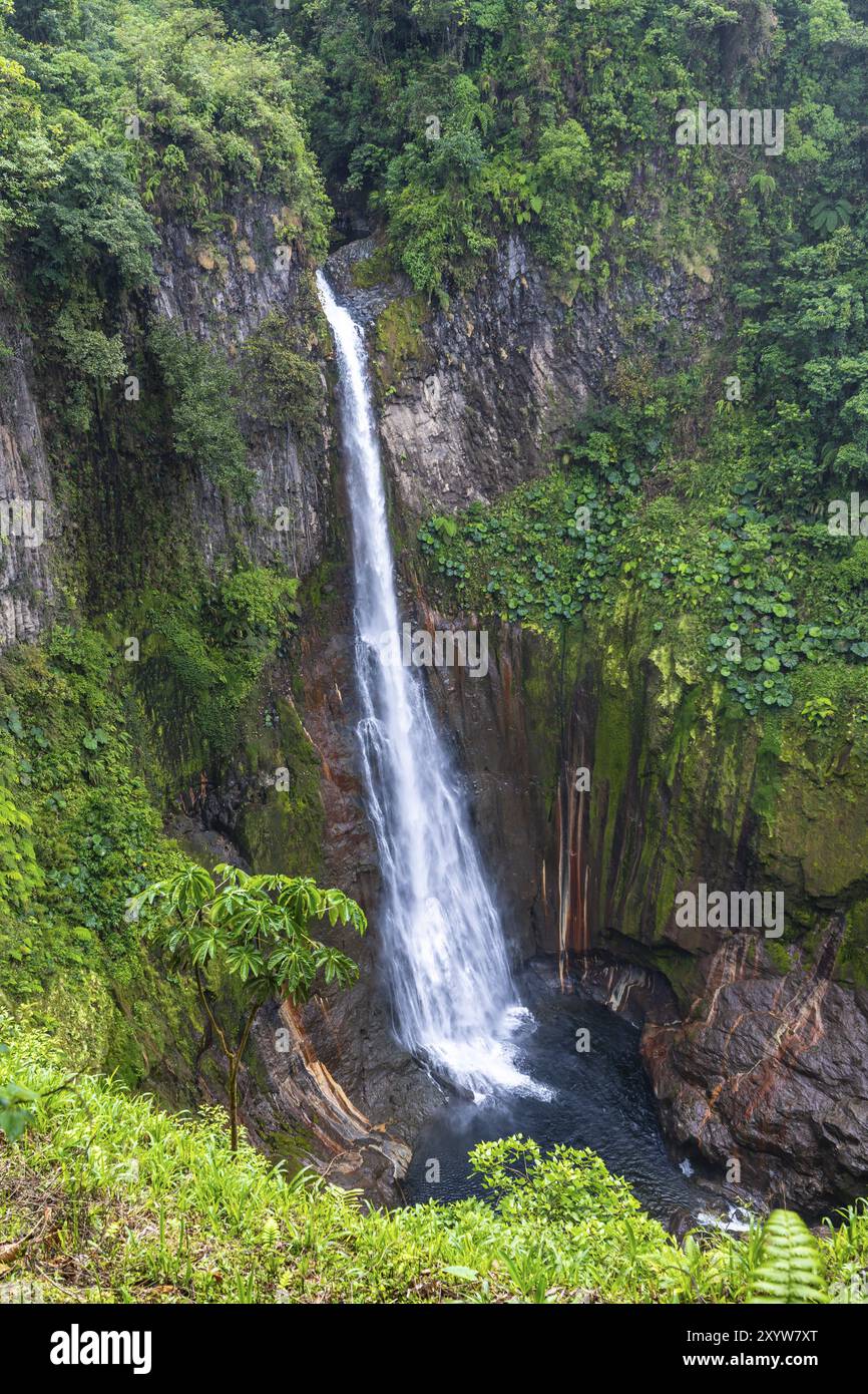 Catarata del Toro waterfall, view of waterfall and gorge, Alajuela ...