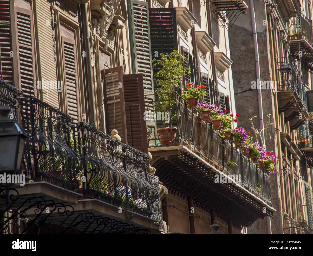 Residential building with balconies full of blooming flowers and ...