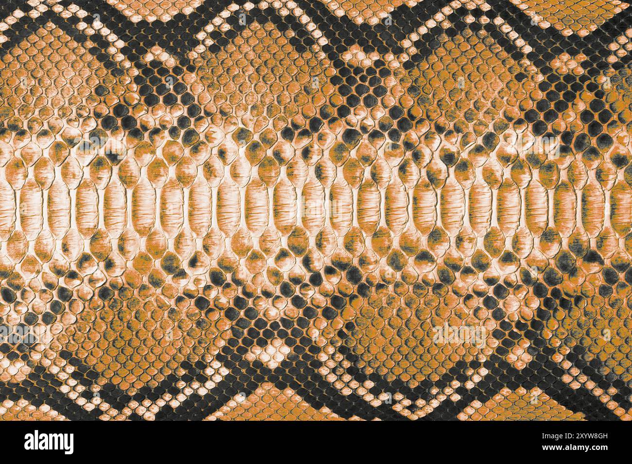Genuine reptile skin as background, brown snakeskin texture Stock Photo ...