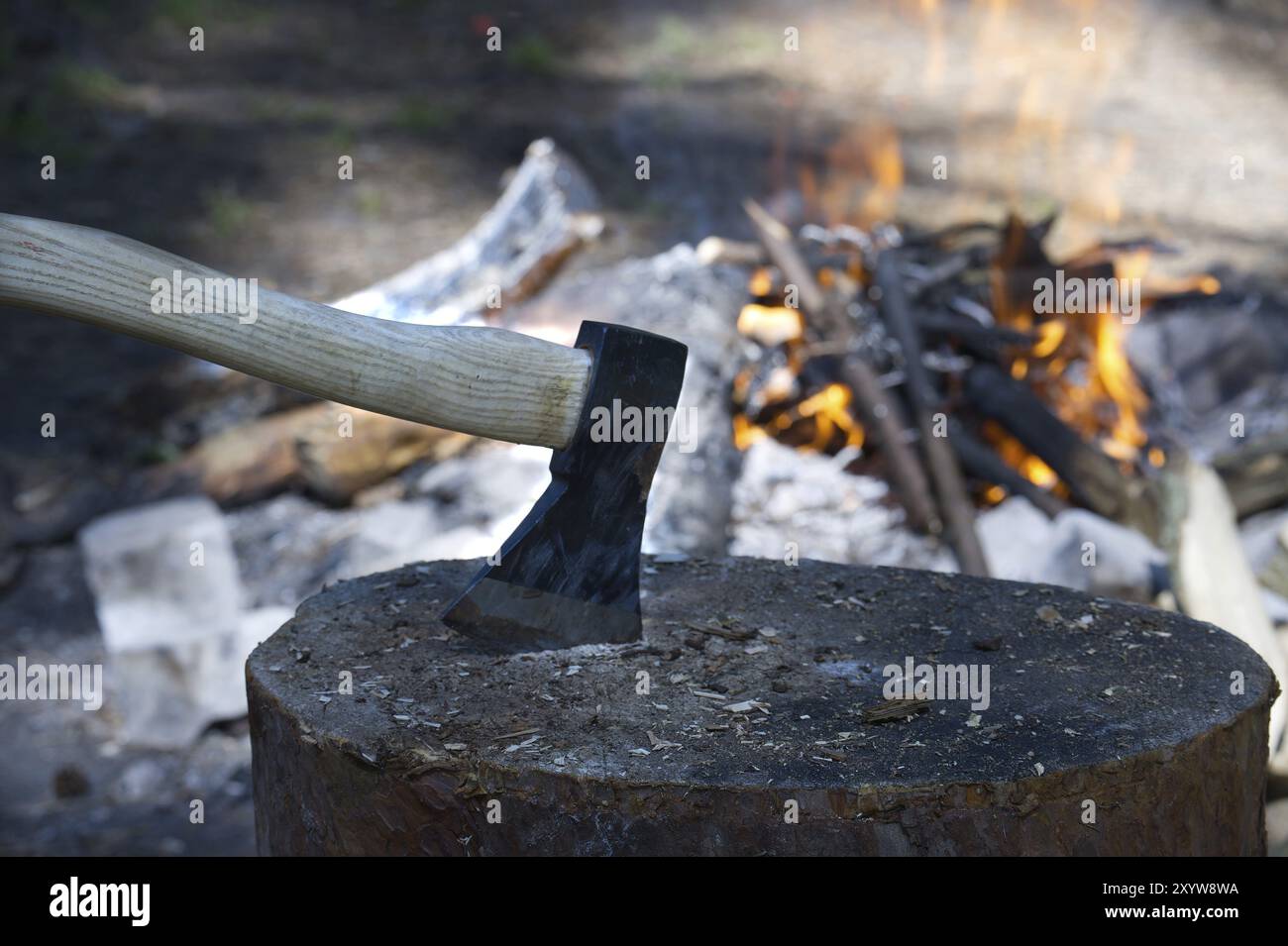 Camp fire in a forest with chopper lodged in a log of wood in the ...