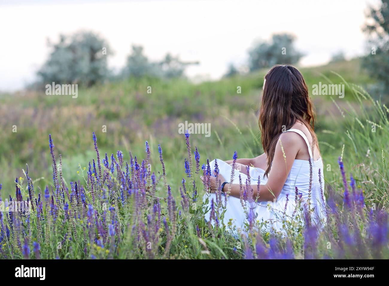 Woman sitting back in the grass. Rear view. Concept photo Stock Photo ...