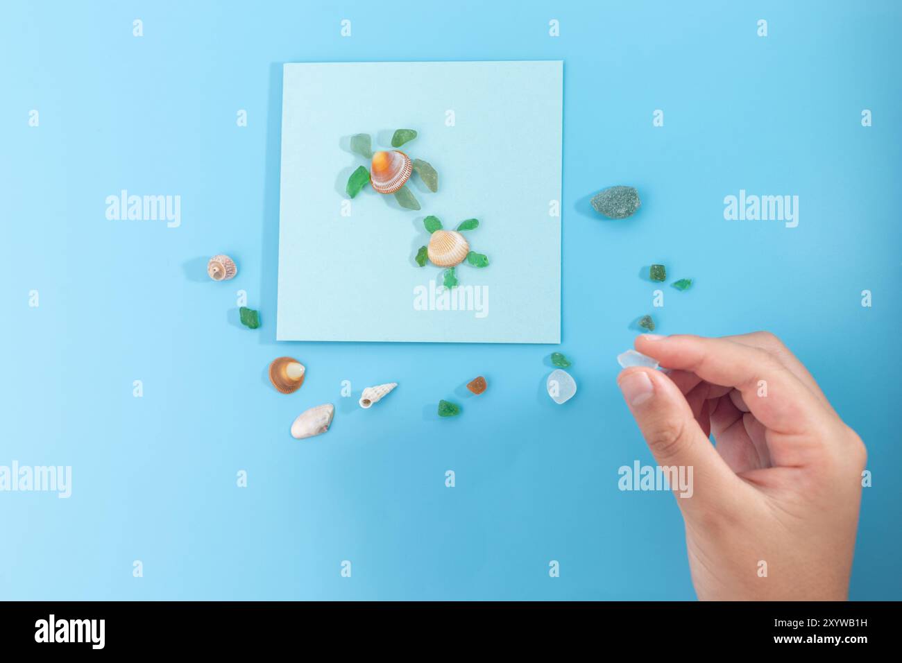 creative turtle, child hands playing with sea shell, handmade turtle ...