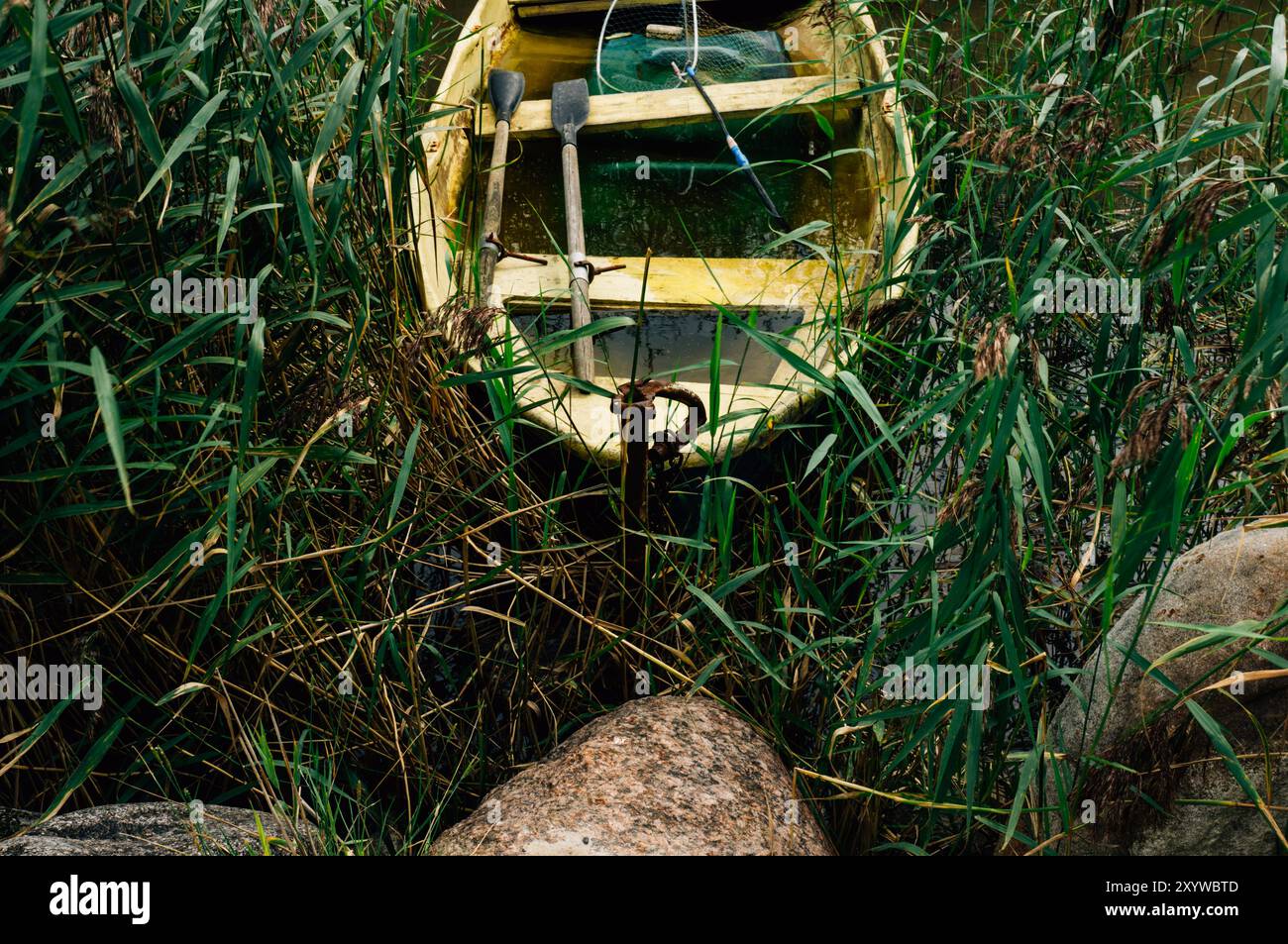 Resting amidst tall grasses hi-res stock photography and images - Alamy