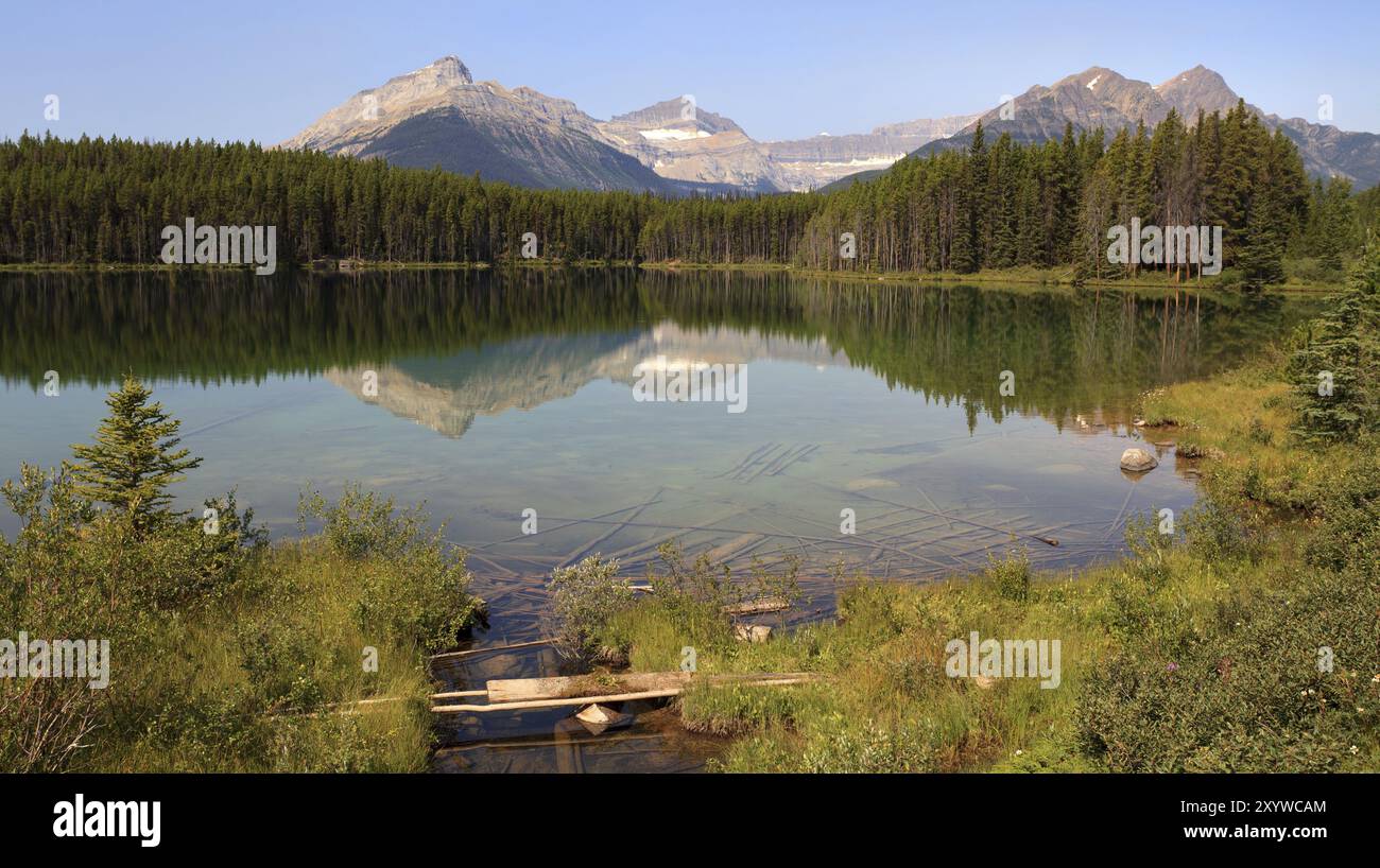 Herbert Lake in Banff National Park in Alberta Canada Stock Photo - Alamy