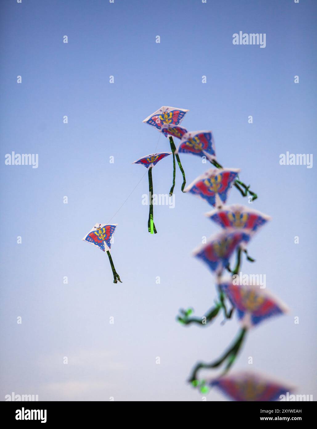 Flying kites stunt hi-res stock photography and images - Alamy