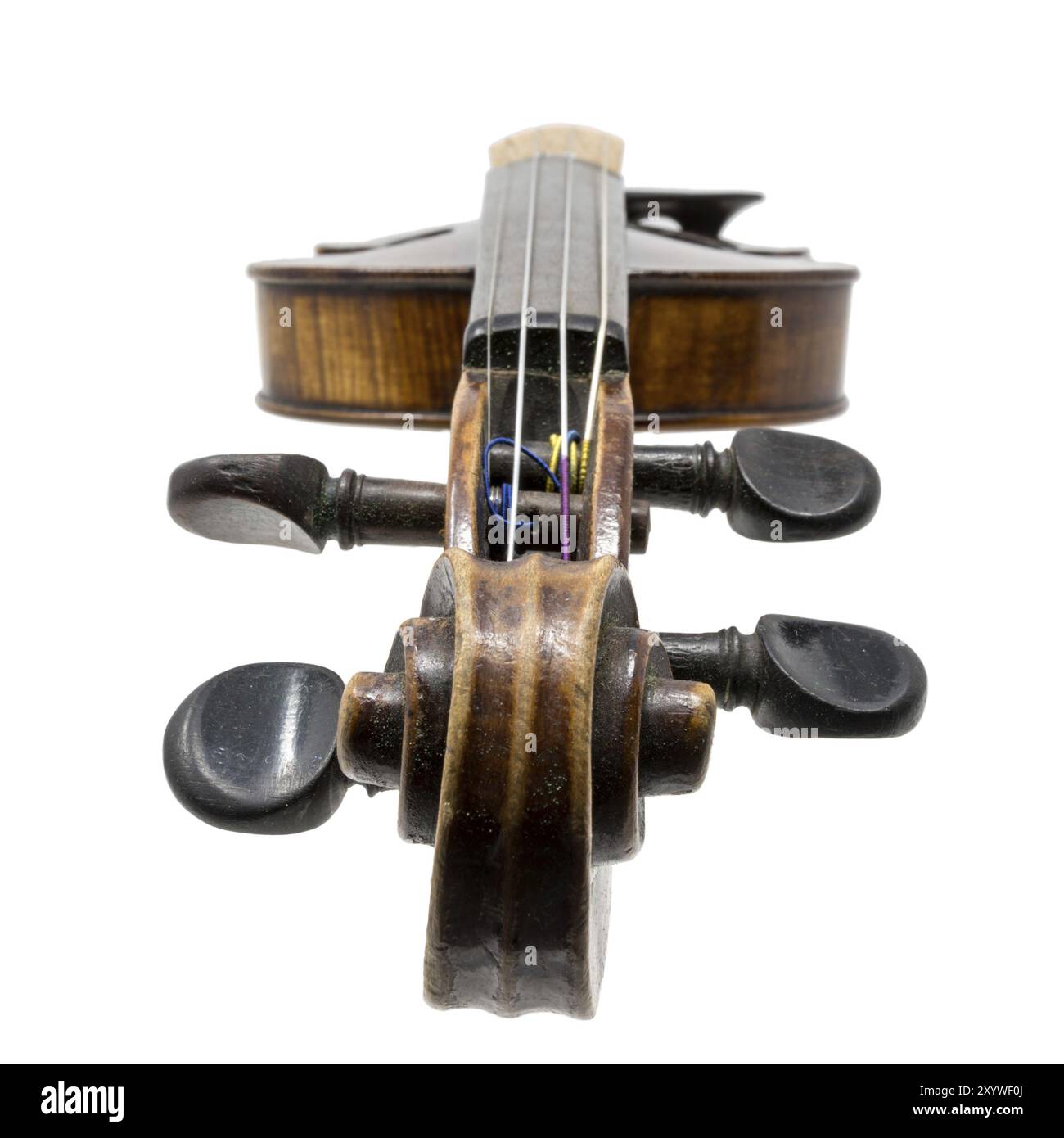Violin pegbox hi-res stock photography and images - Alamy