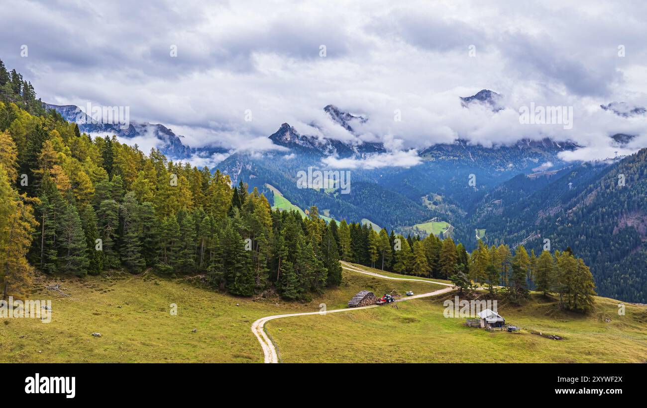 Forest work on the alpine meadow Wuhnleger, in the background the peaks ...