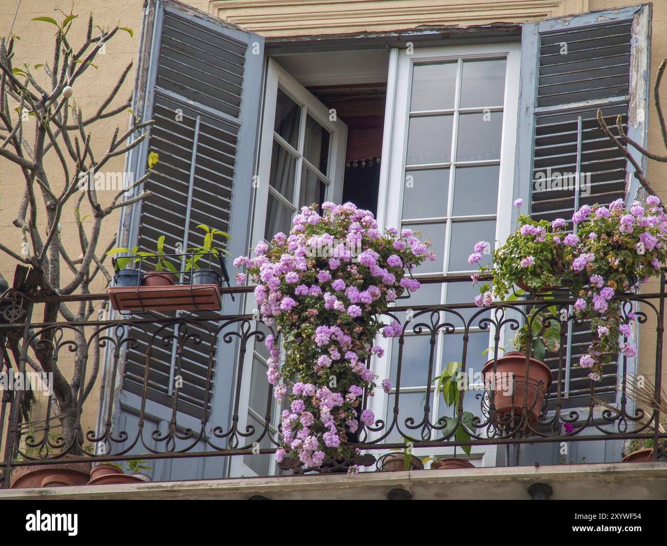 A balcony with blooming flowers and open shutters, below a window that ...