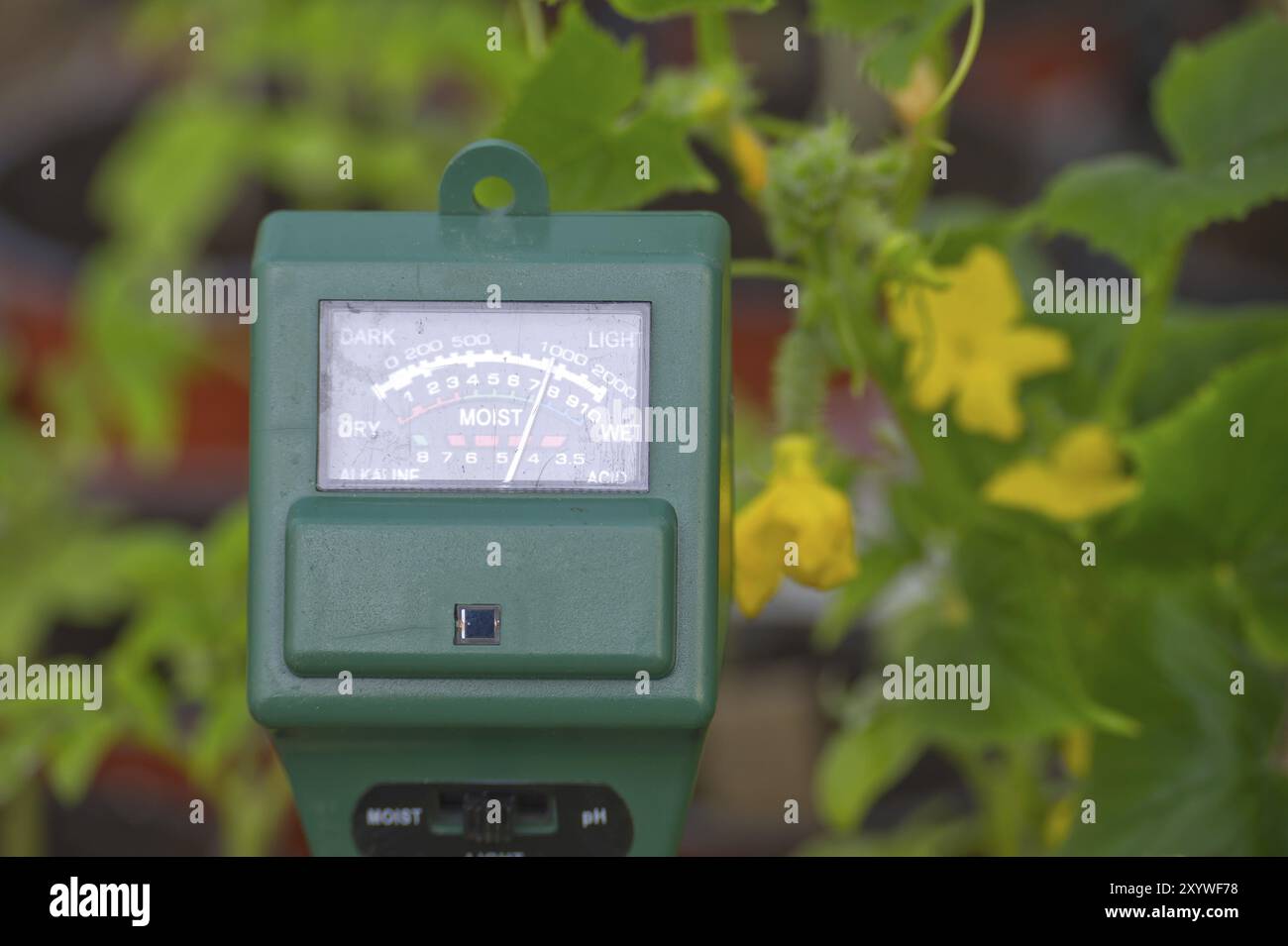 Agricultural meter to measure the soil pH, light and moisture level of ...