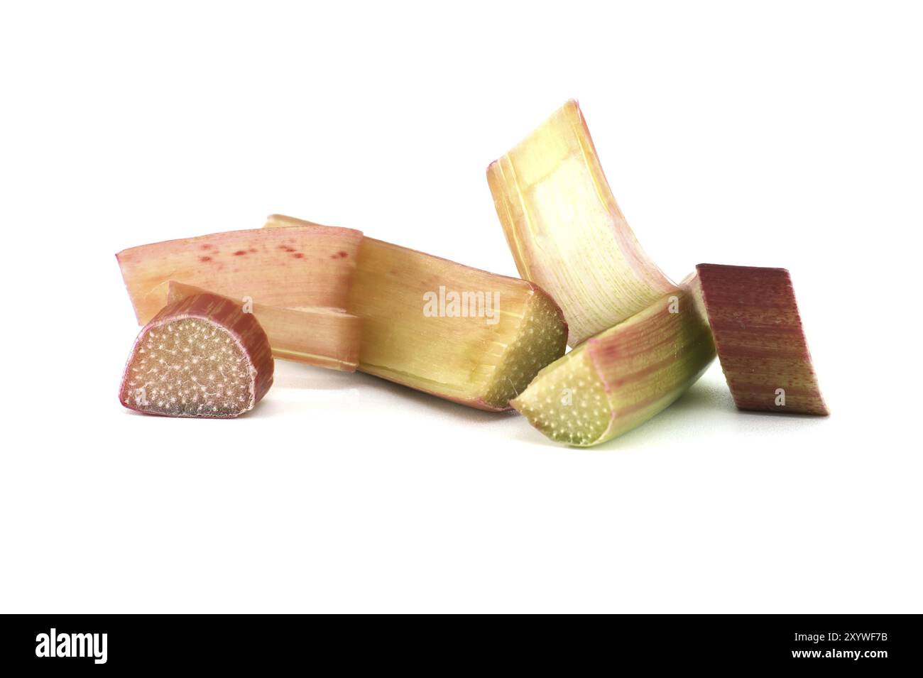 Rhubarb stalks of varying colors from pale green to deep red isolated ...