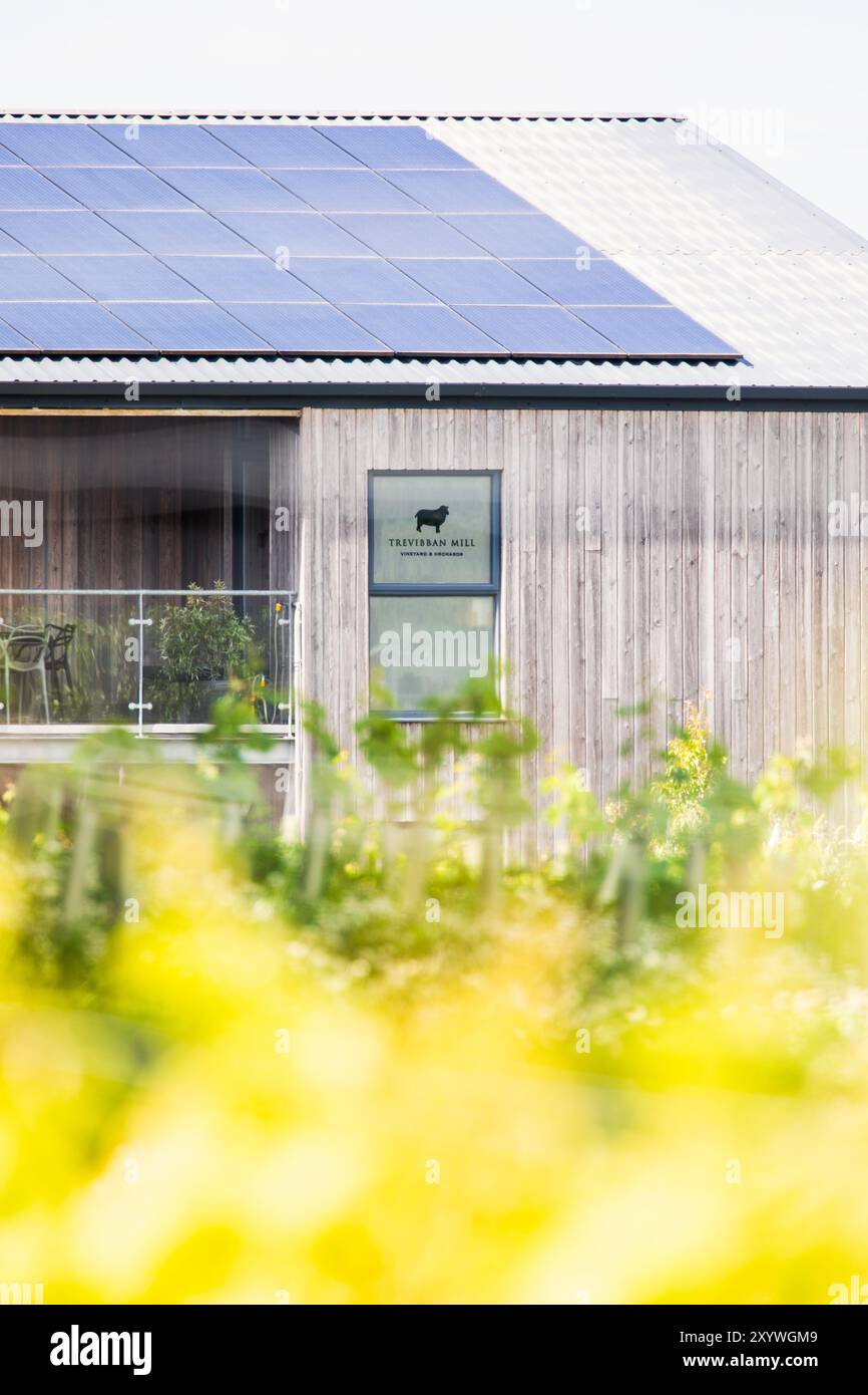 Trevibban Mill Vineyard and Orchards restaurant and winery set amongst ...