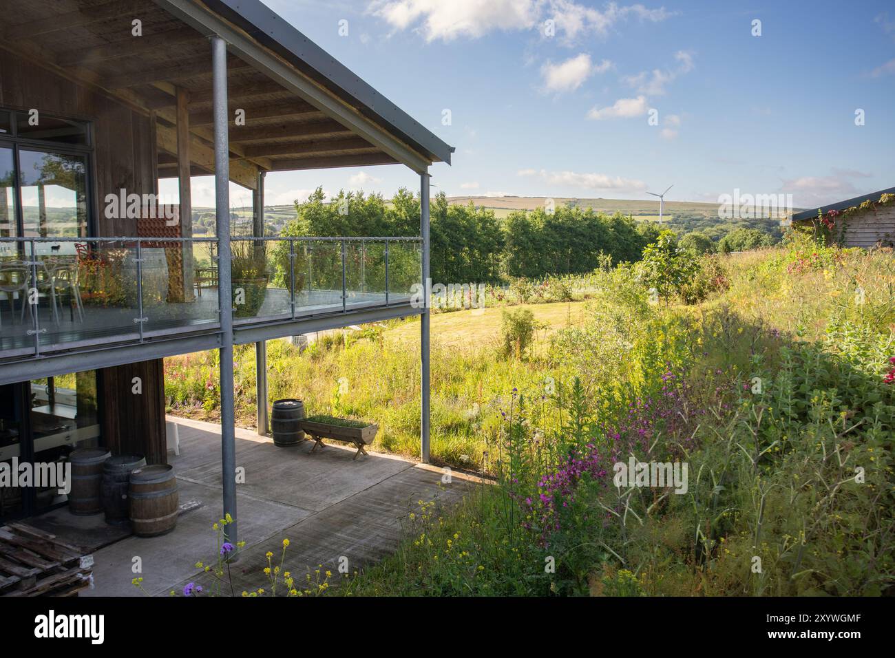 Trevibban Mill Vineyard and Orchards restaurant and winery set amongst ...