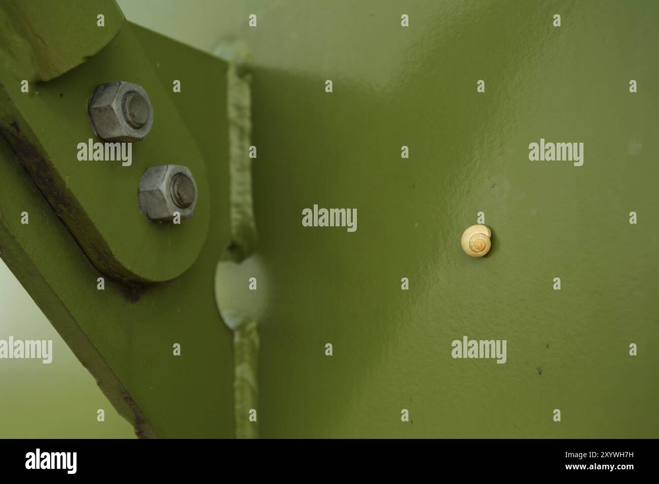 Yellow cased snail on a wind turbine Stock Photo - Alamy