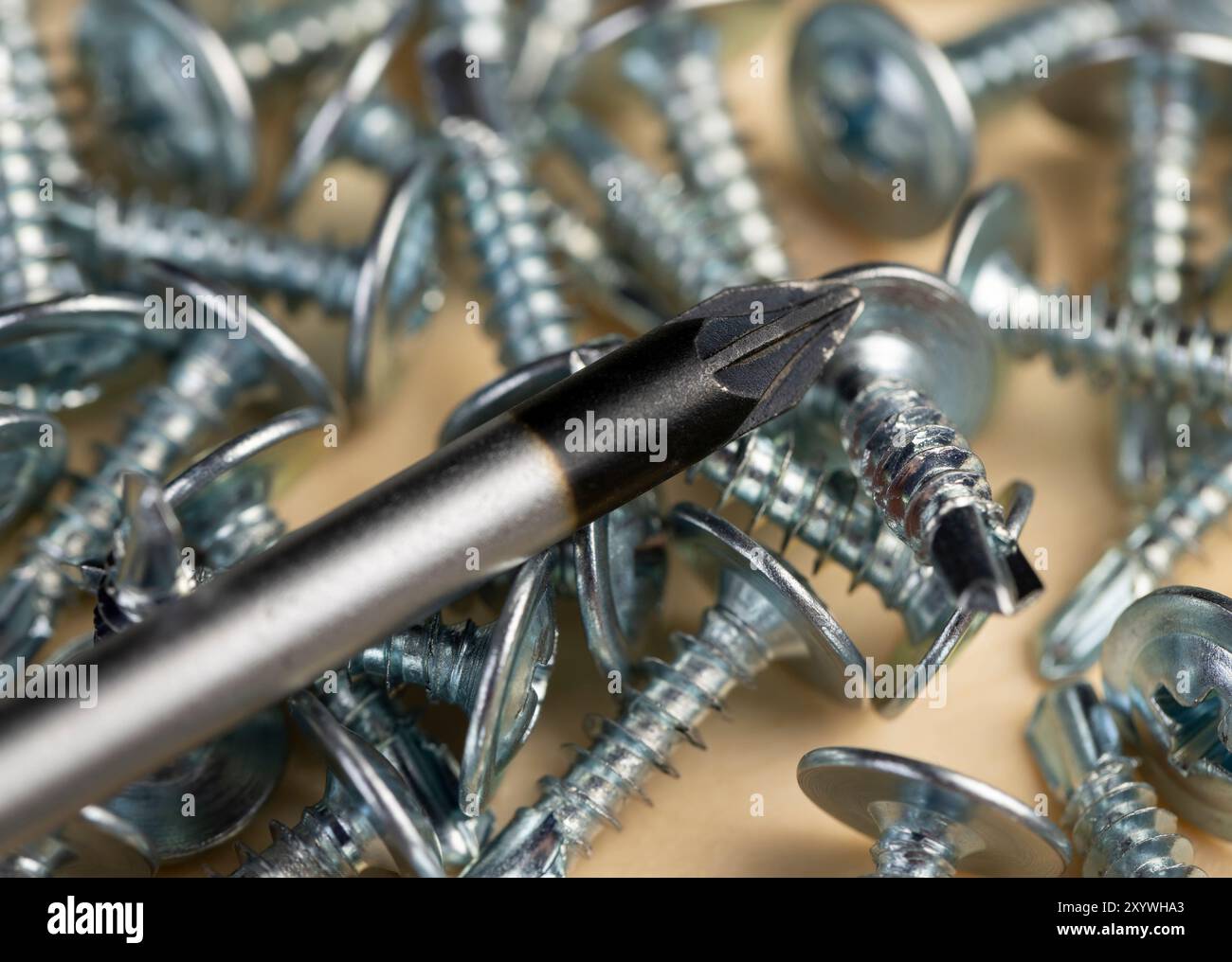 steel self tapping screws for working with wooden products , self ...