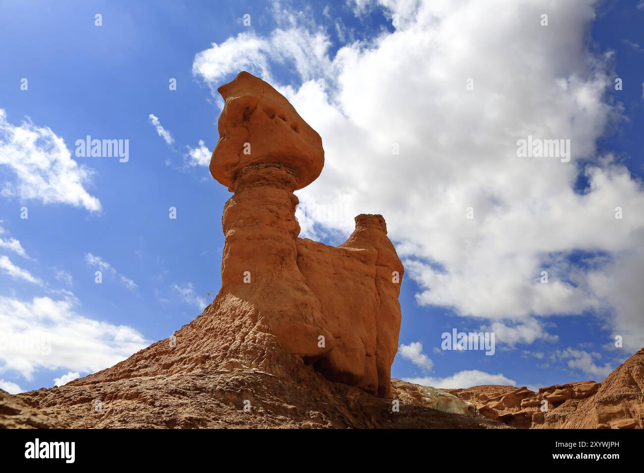 Creatures remarkable hi-res stock photography and images - Alamy