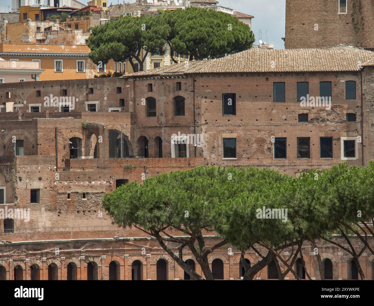 Ruins of Roman brick buildings surrounded by pine trees, Italian ...