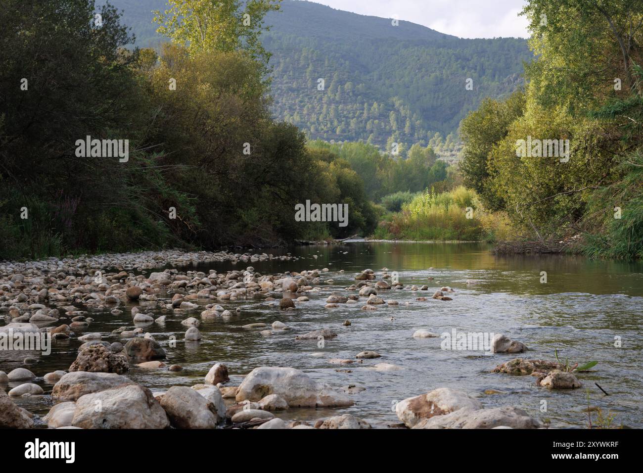 Landscape with the Serpis riverbed as it passes through Lorcha with low ...