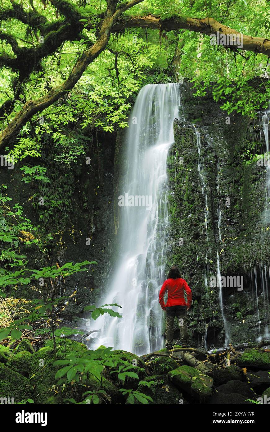 A woman looks at the Matai Falls in New Zealand, Otago, South Island ...