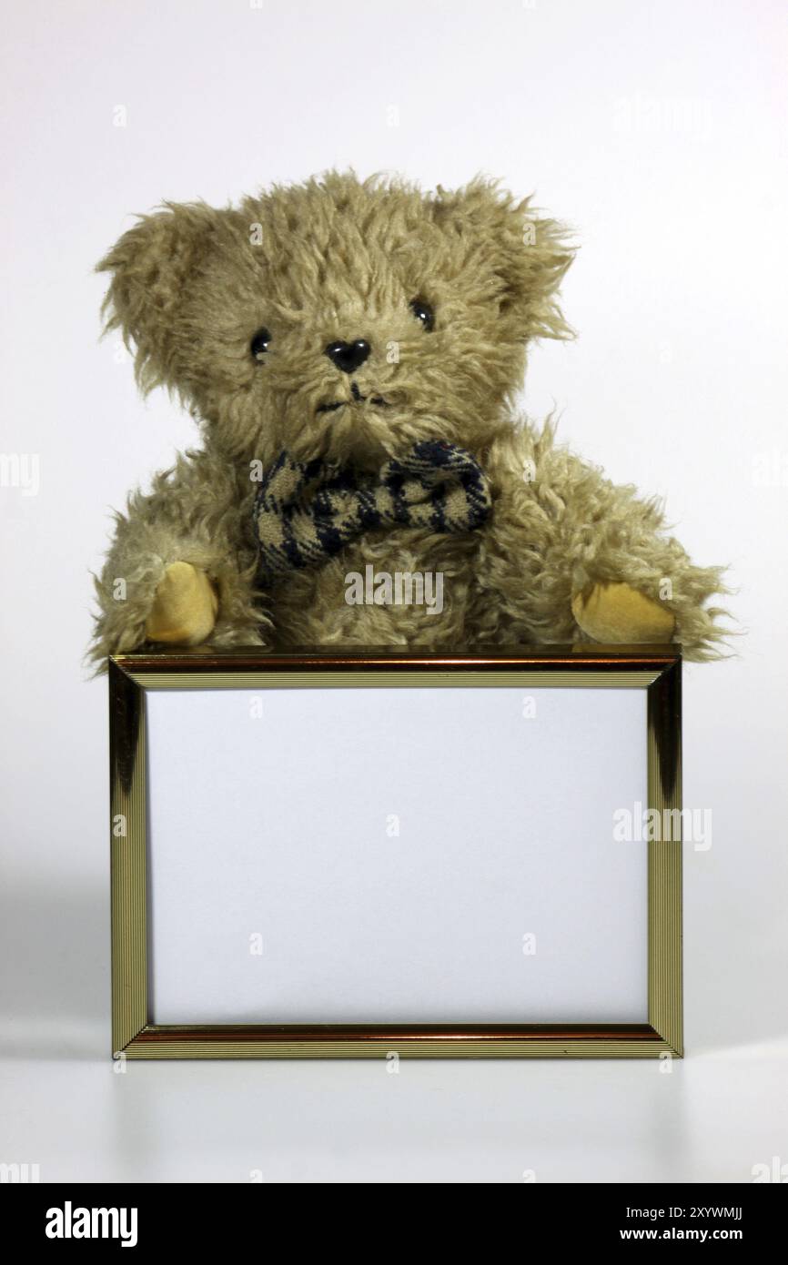 Teddy bear with picture frame Stock Photo - Alamy