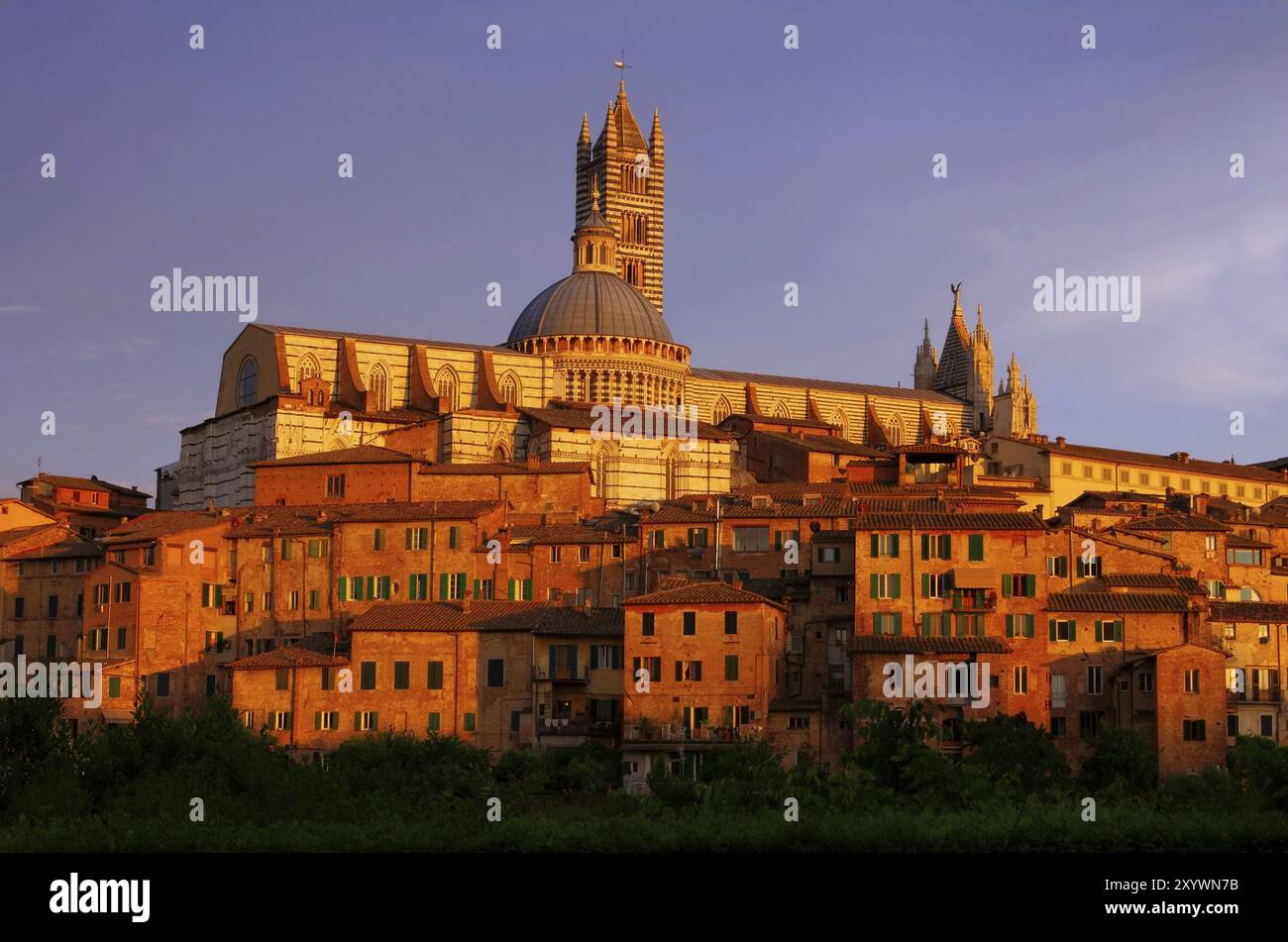 Siena 02 hi-res stock photography and images - Alamy