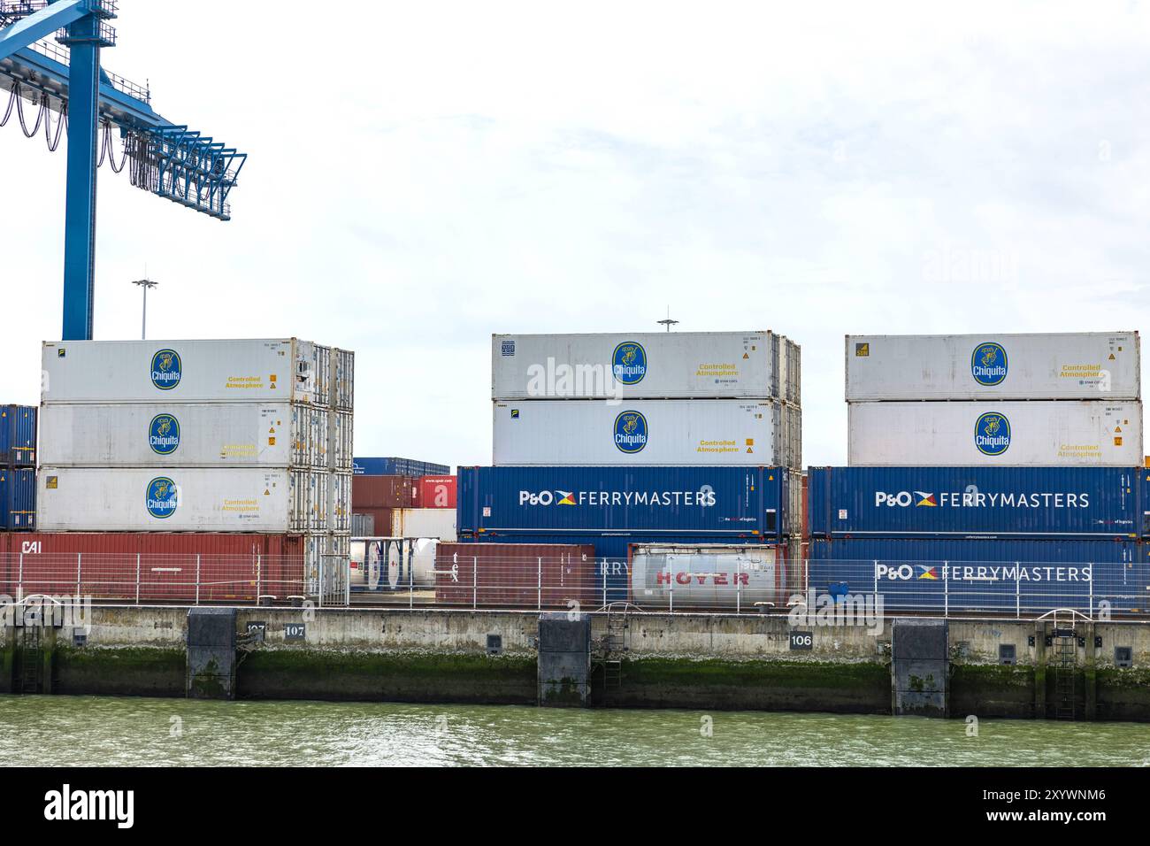 Container with bananas at the cargo port of Rotterdam Rotterdam ...