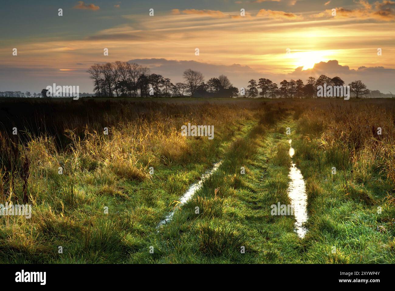 Warm sunrise over rural ground road Stock Photo - Alamy