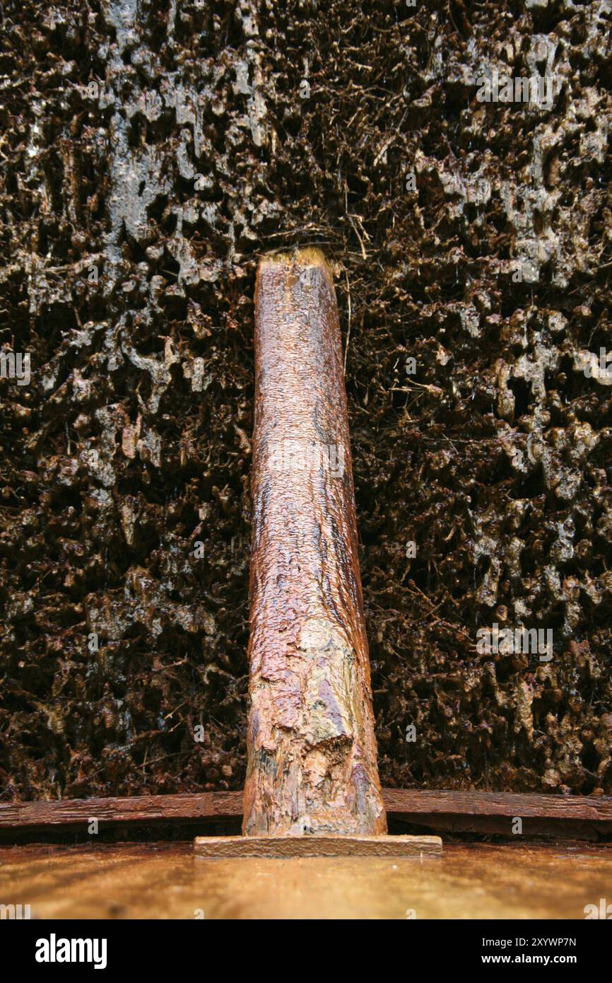 Central building of the graduation tower hi-res stock photography and ...