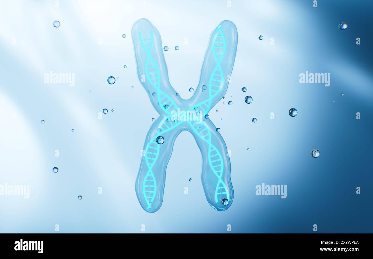 Human genes and chromosomes, 3d rendering. 3d illustration Stock Photo ...