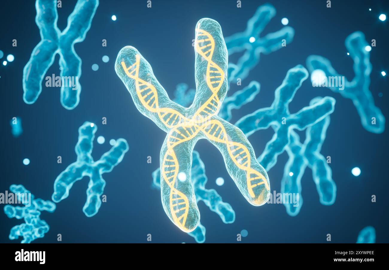 Human genes and chromosomes, 3d rendering. 3d illustration Stock Photo ...