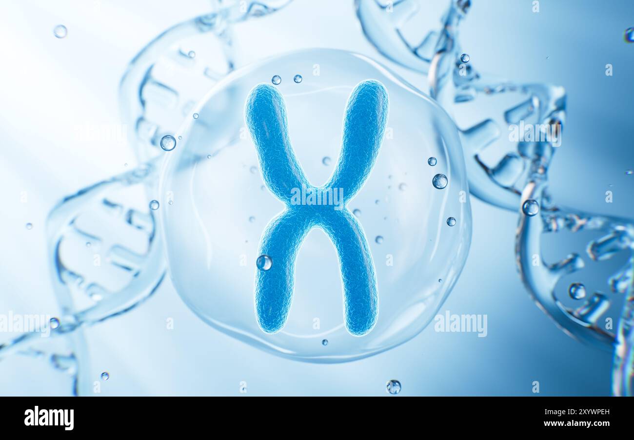Human genes and chromosomes, 3d rendering. 3d illustration Stock Photo ...