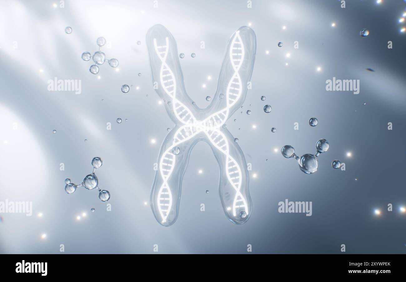 Human genes and chromosomes, 3d rendering. 3d illustration Stock Photo ...