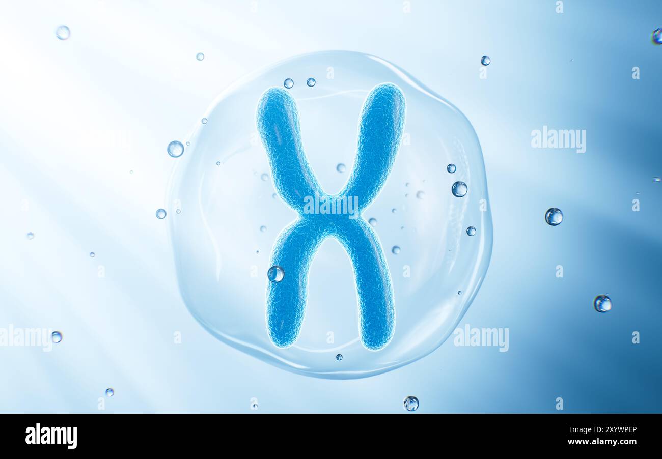 Human genes and chromosomes, 3d rendering. 3d illustration Stock Photo ...